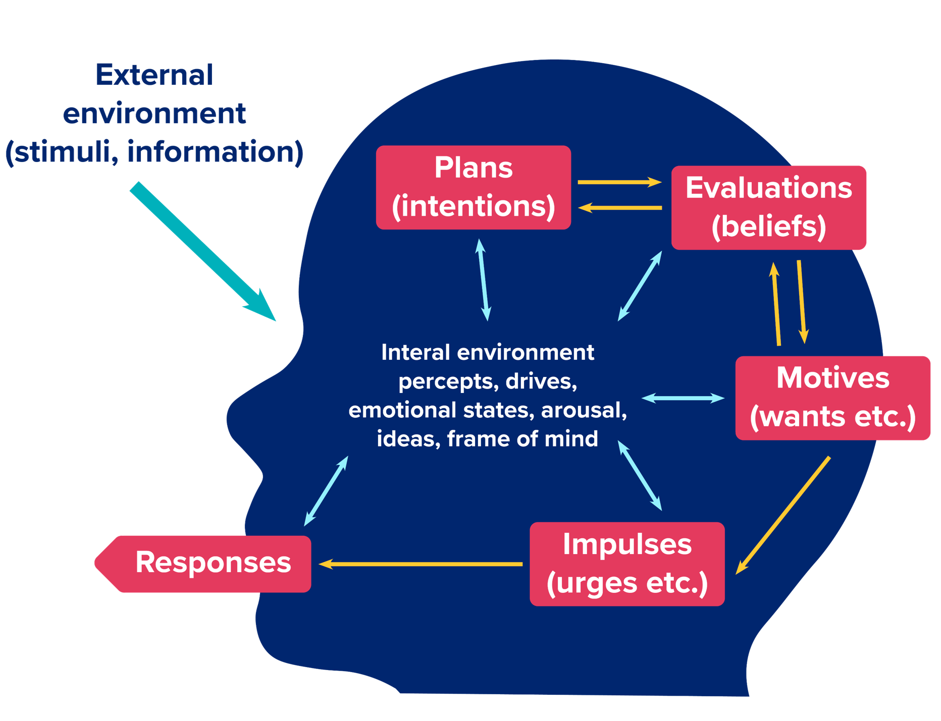 Prime Theory – The Structure of Human Motivation – MECC Training Site ...